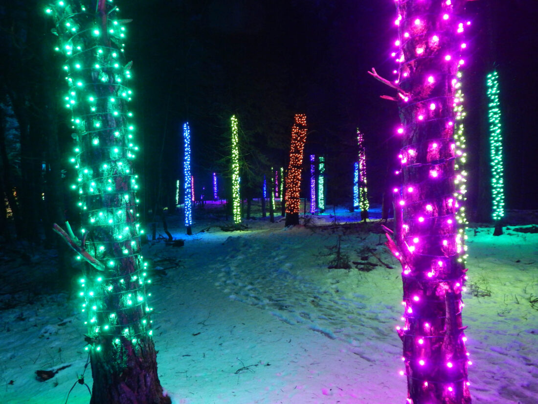 ‘It’s become a tradition’ | News, Sports, Jobs - Adirondack Daily Enterprise